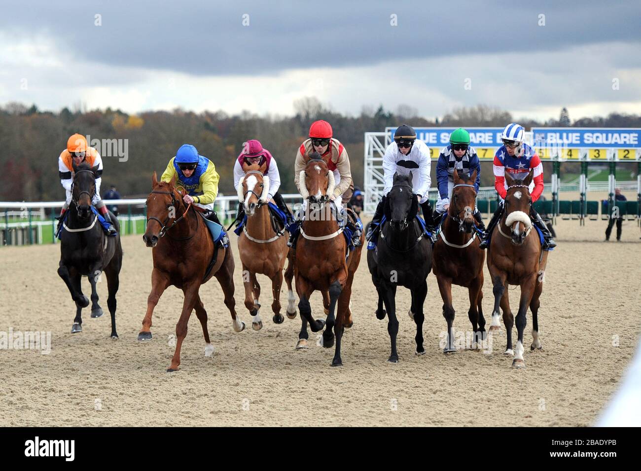 Races stalls signage hi-res stock photography and images - Alamy