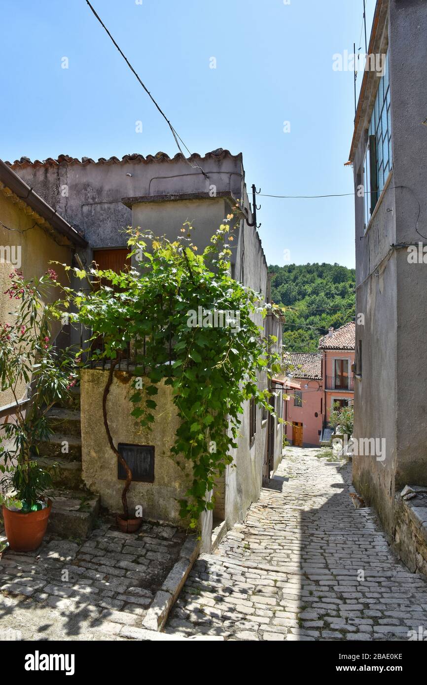 A narrow street between the houses of Morcone, a medieval village in ...