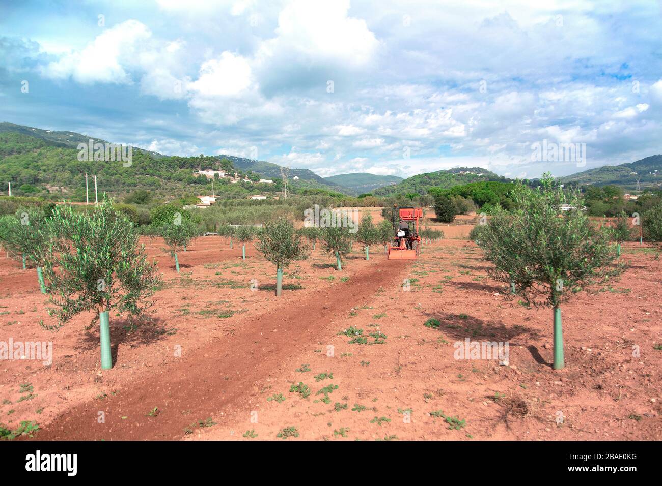 Empty crop rows hi-res stock photography and images - Alamy