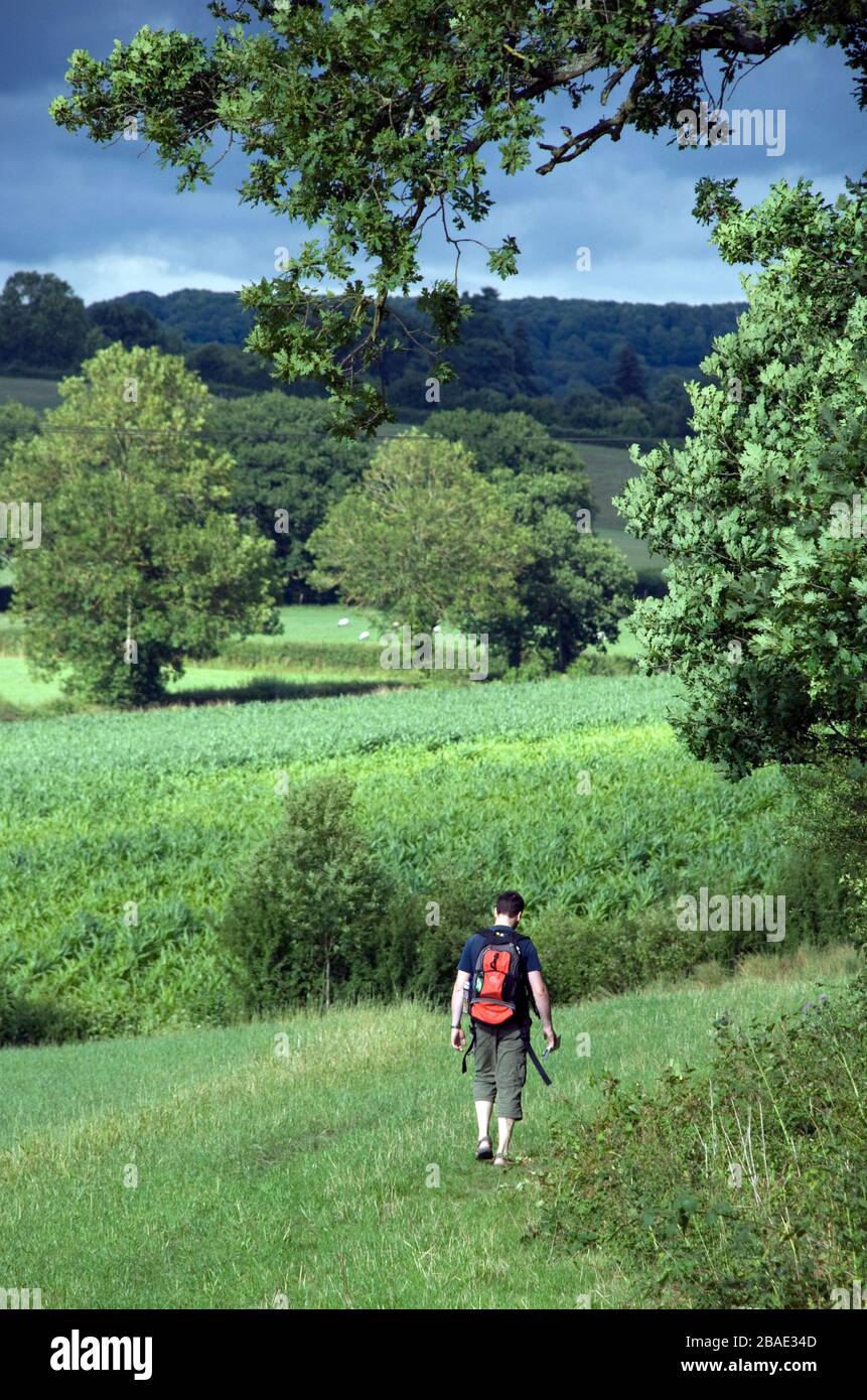 Man walking alone in nature Stock Photo - Alamy