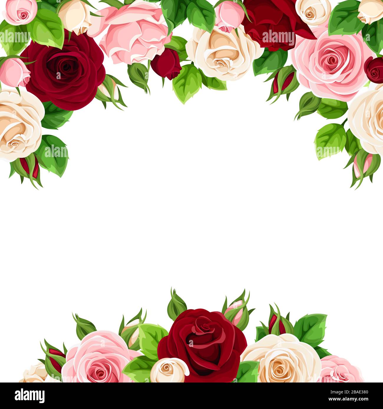 Vector greeting or invitation card with pink, burgundy and white roses ...