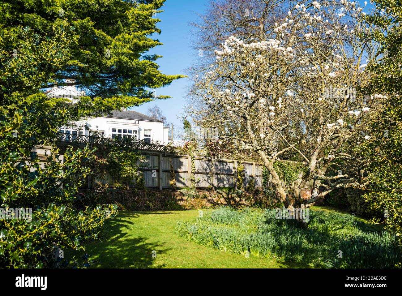 A private country garden in Spring Stock Photo - Alamy