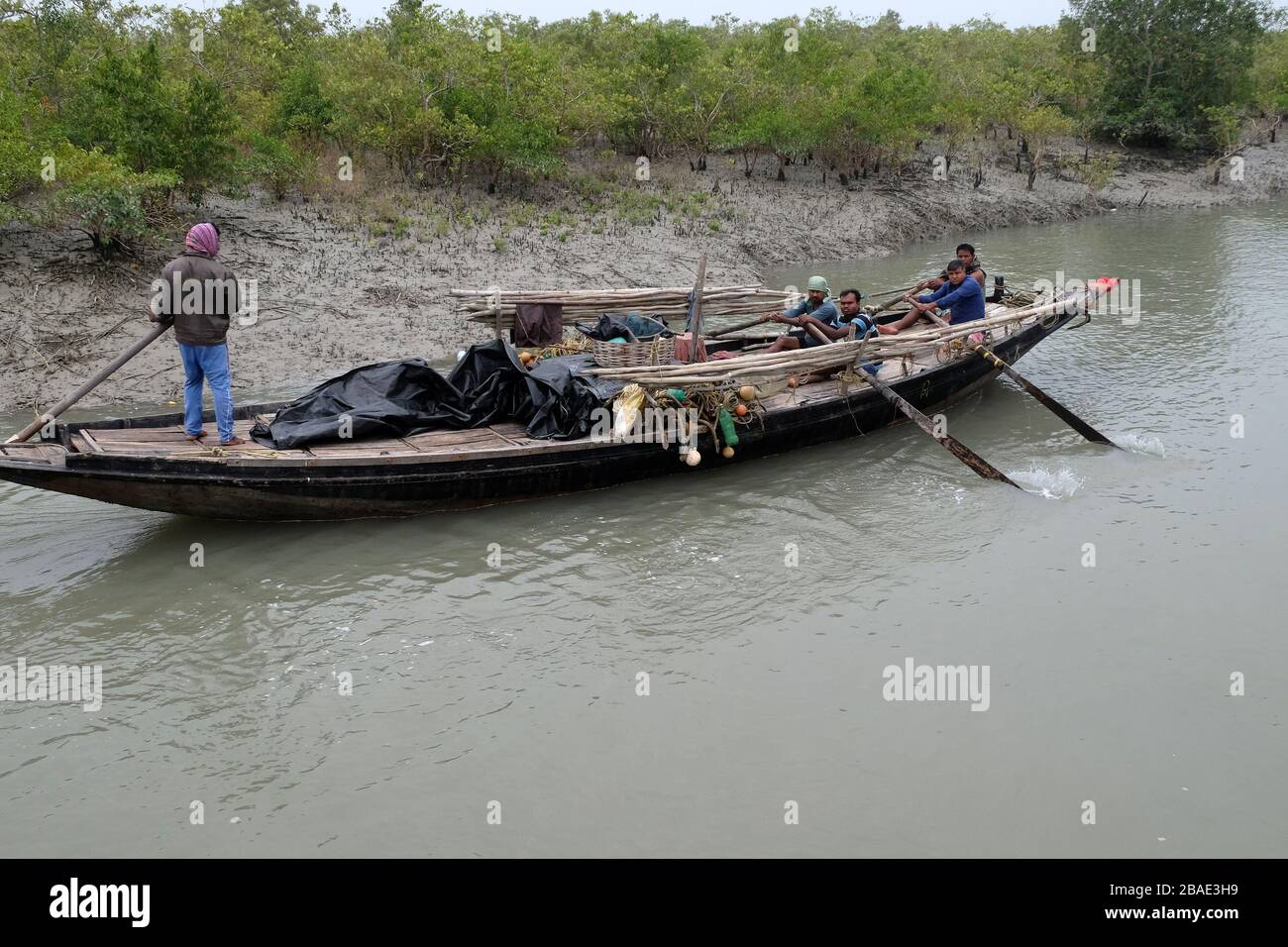 Rowing boat in the swampy areas of the Sundarbans, UNESCO World ...