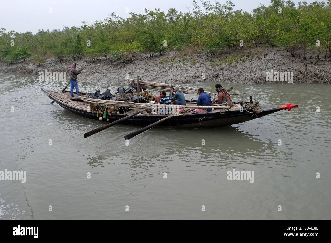 Rowing boat in the swampy areas of the Sundarbans, UNESCO World ...