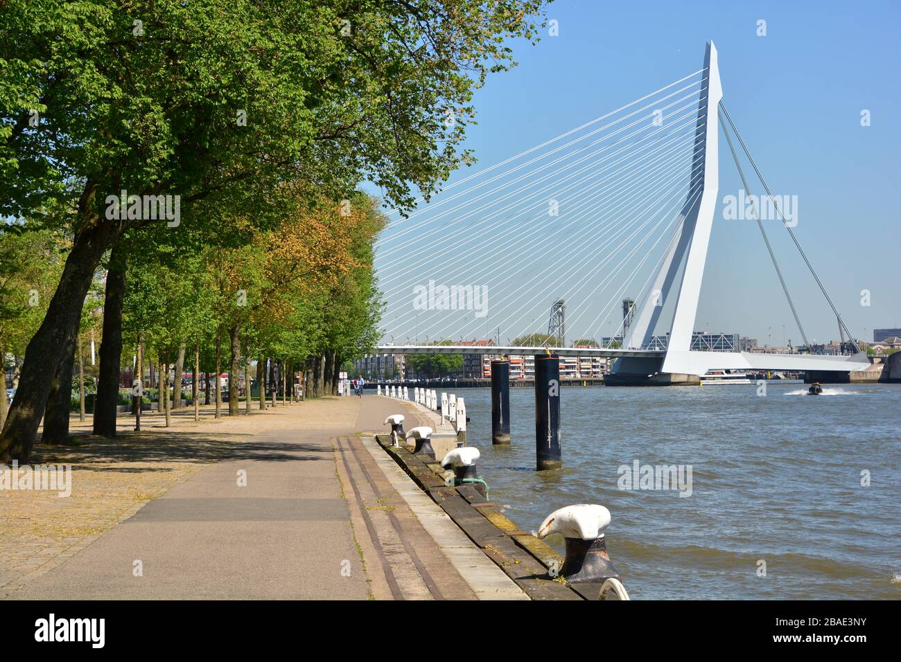 Rotterdam, The Netherlands-May 2019; wide angle view from one of the ...