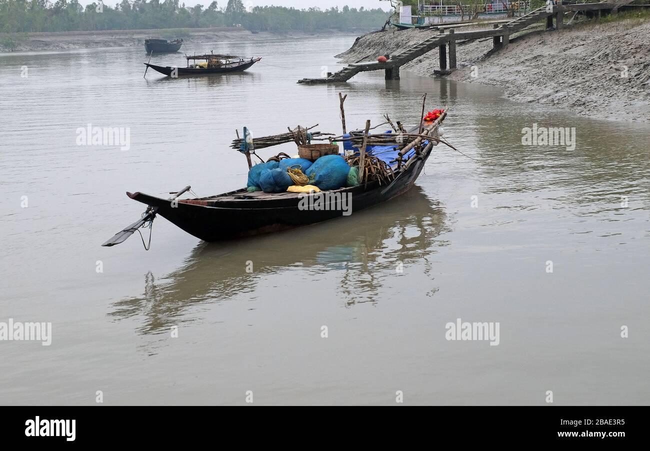 Rowing boat in the swampy areas of the Sundarbans, UNESCO World ...