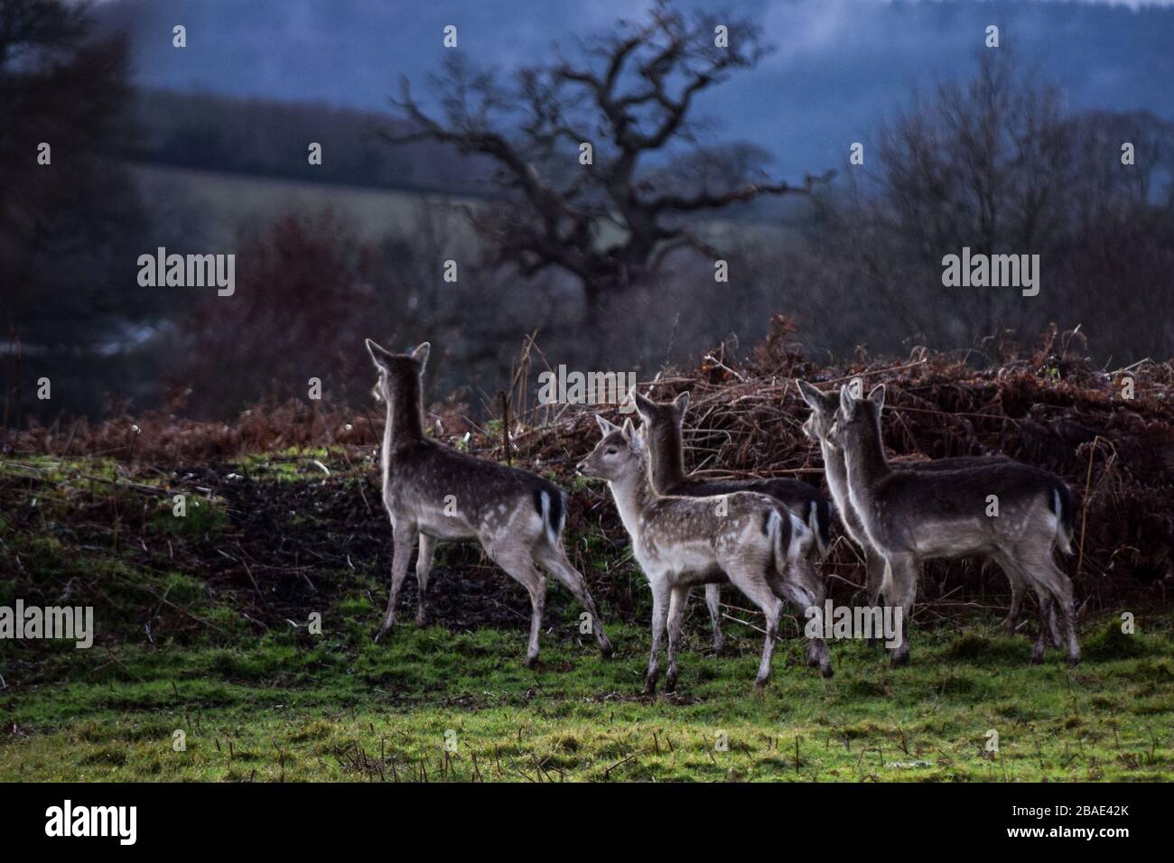 Being cautious hi-res stock photography and images - Alamy