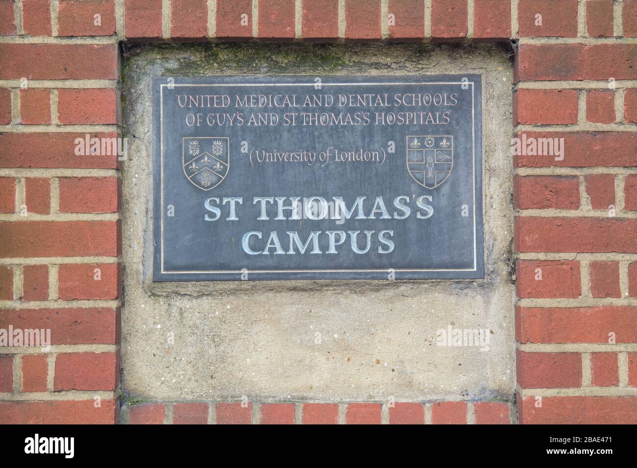 Kings College London St Thomas Campus at Guys & St Thomas Hospital ...