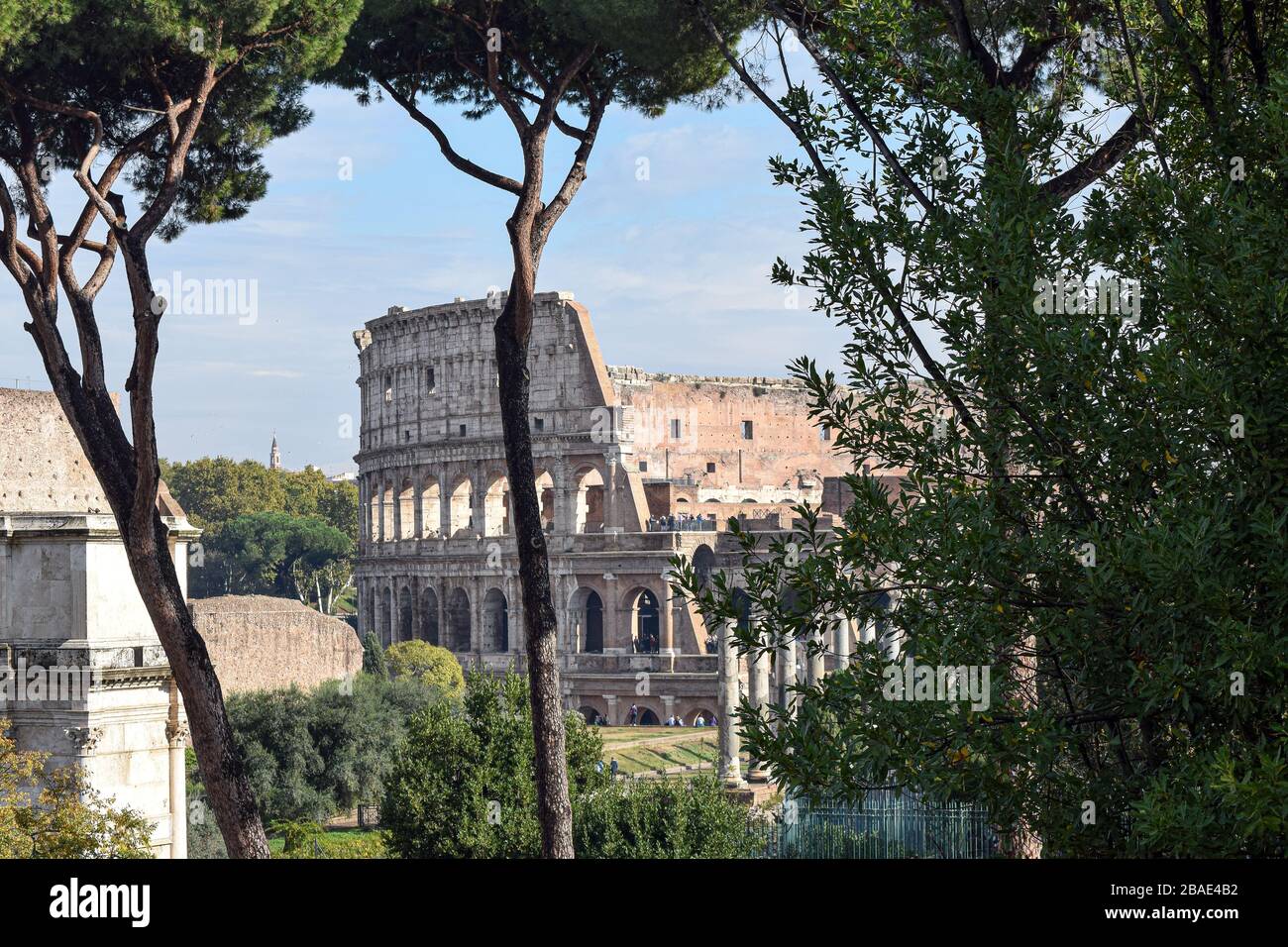 The Colluseum, Rome looking through the trees Stock Photo - Alamy
