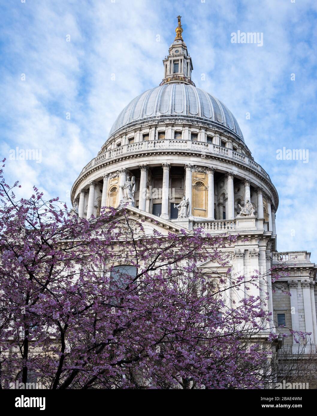 St Pauls cathedral dome London,UK Stock Photo - Alamy