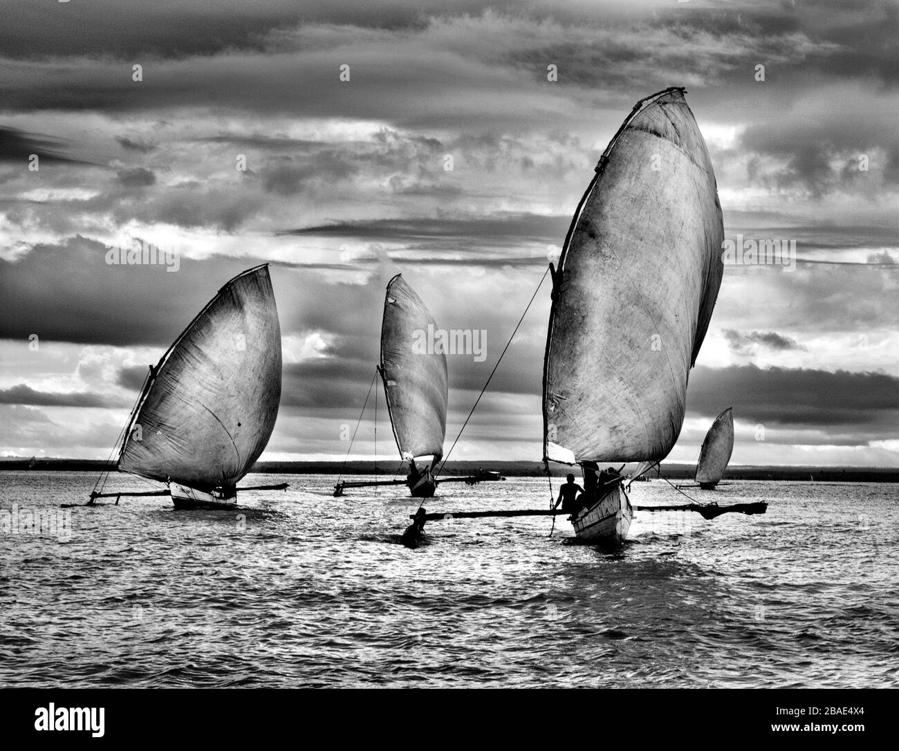 Indian Ocean, Madagascar, Mahajanga, fishing dhows going out to sea ...