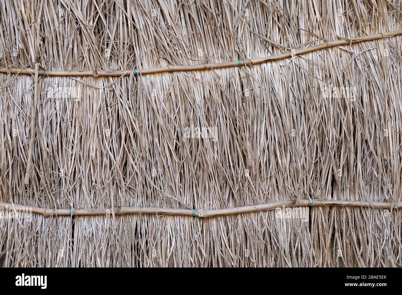 Straw texture hi-res stock photography and images - Alamy