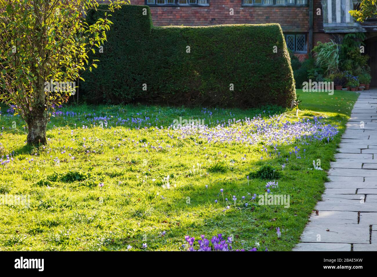 Colourul Autumn Views of Christopher Lloyds famous garden Great Dixter ...