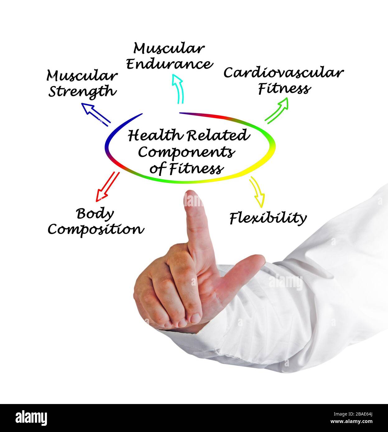 Health Related Components of Fitness Stock Photo - Alamy
