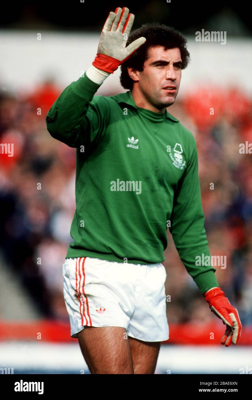 Peter shilton hi-res stock photography and images - Alamy