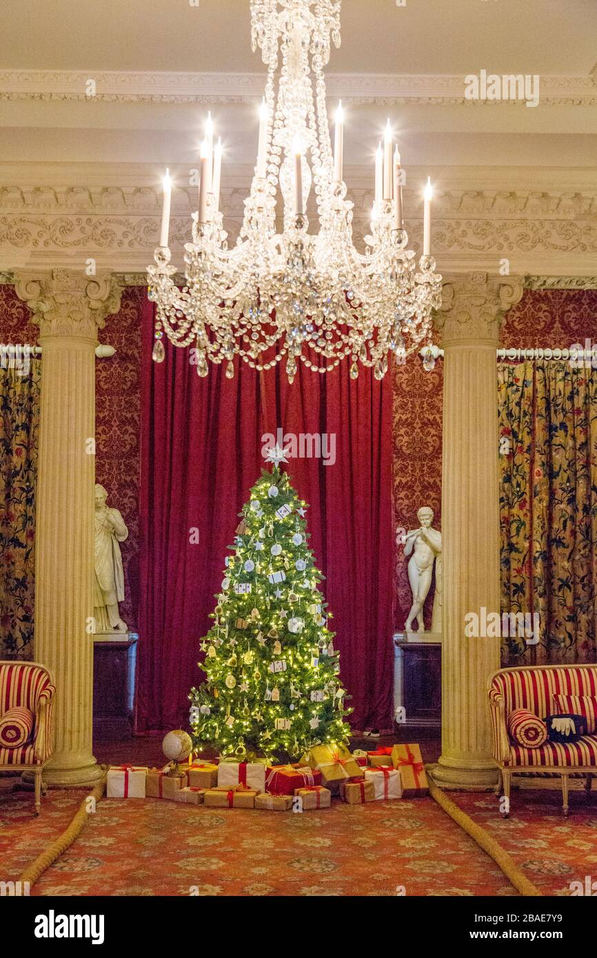 A beautifully decorated Christmas tree surrounded by carefully wrapped ...