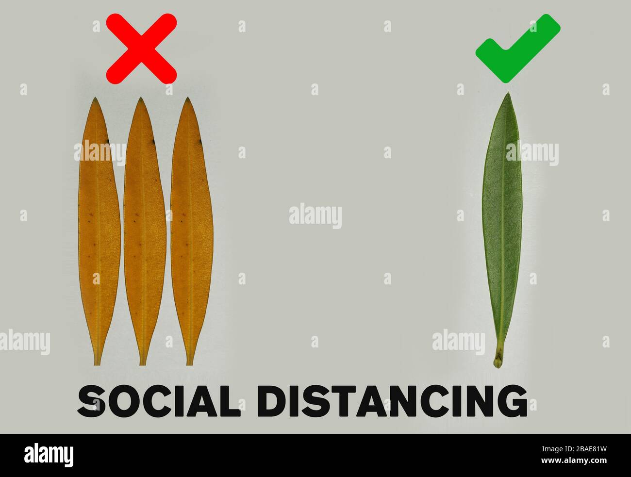 Social Distancing Idea, example, creative or social message to prevent ...