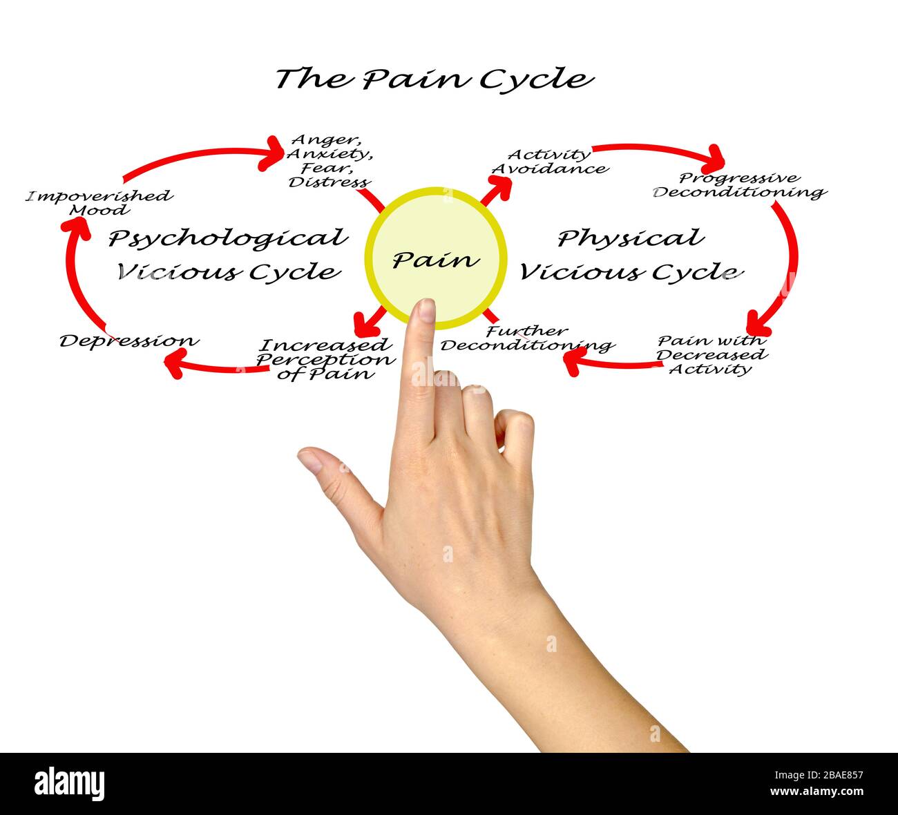 Pain cycle hi-res stock photography and images - Alamy