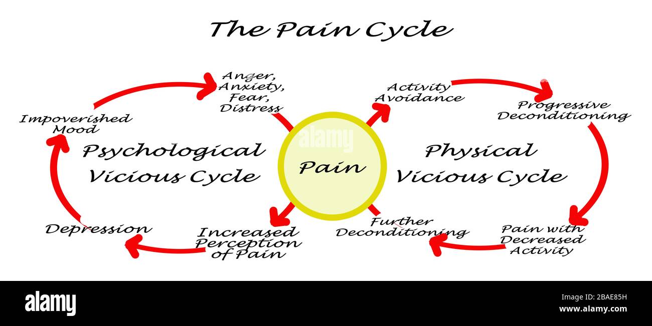 Pain Cycle: Physiolgy and Psychology Stock Photo - Alamy