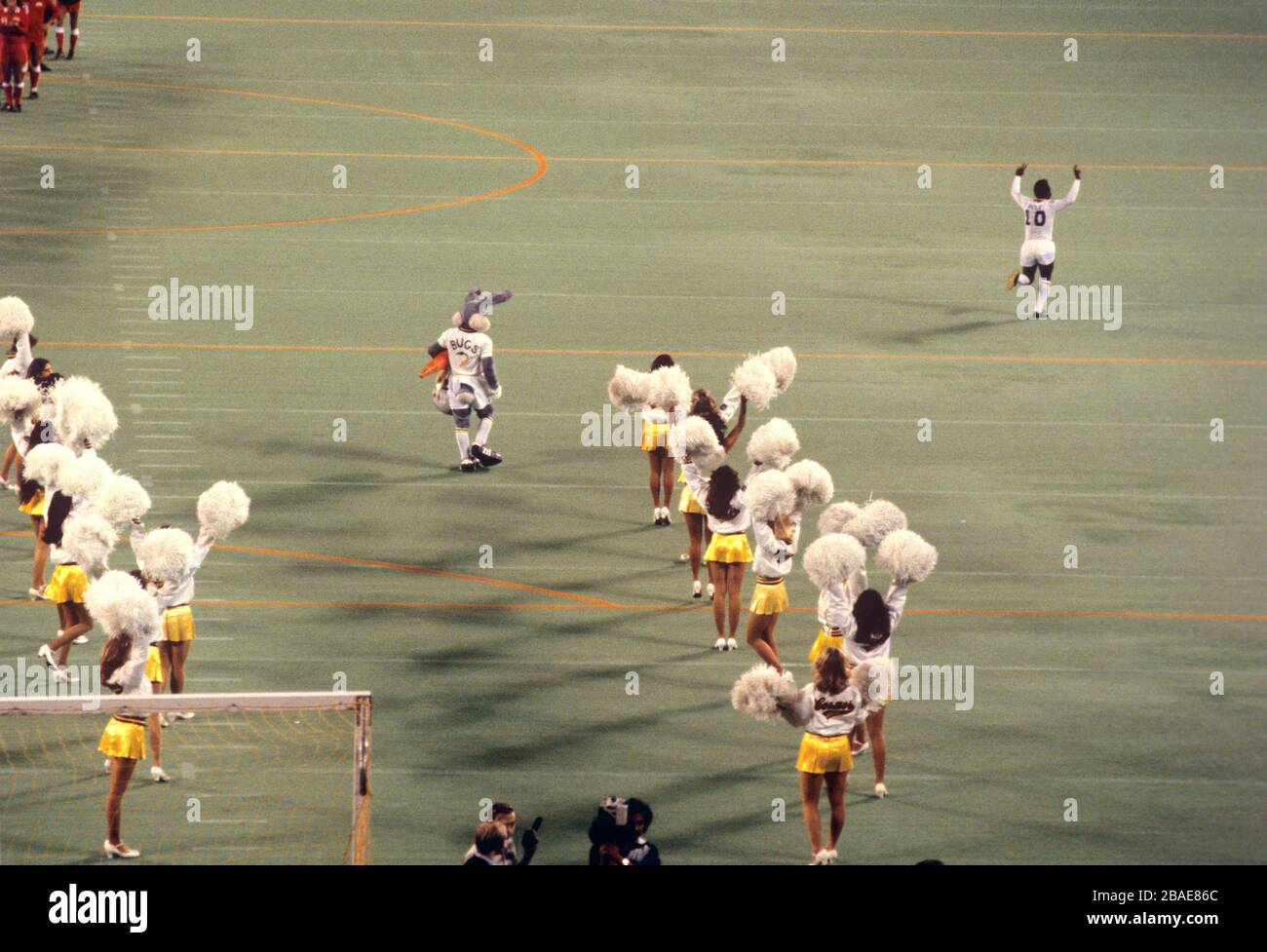 Making a surprise appearance in new york cosmos kit hi-res stock ...