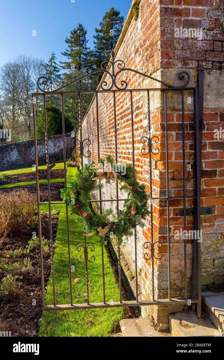 Decorative Christmas wreaths on a gate in the walled garden at ...