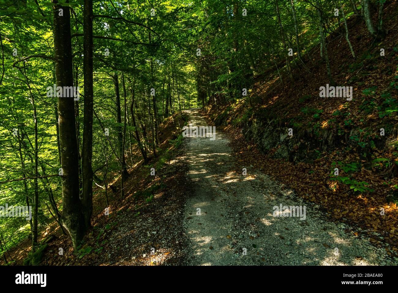 Wonderful hike to the Salzburg high throne via Thomas-Eder-Steig in the ...
