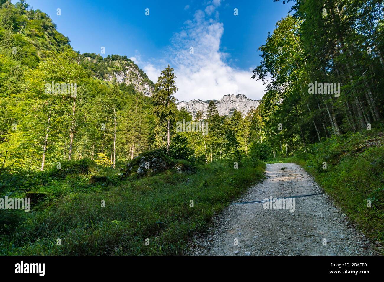Wonderful hike to the Salzburg high throne via Thomas-Eder-Steig in the ...