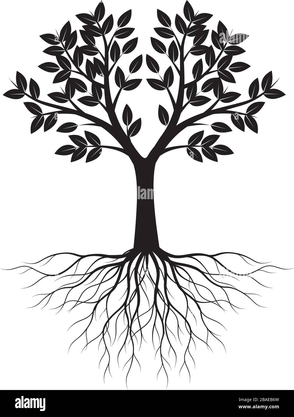 Black shape of Tree with Leaves and Roots. Vector outline Illustration ...