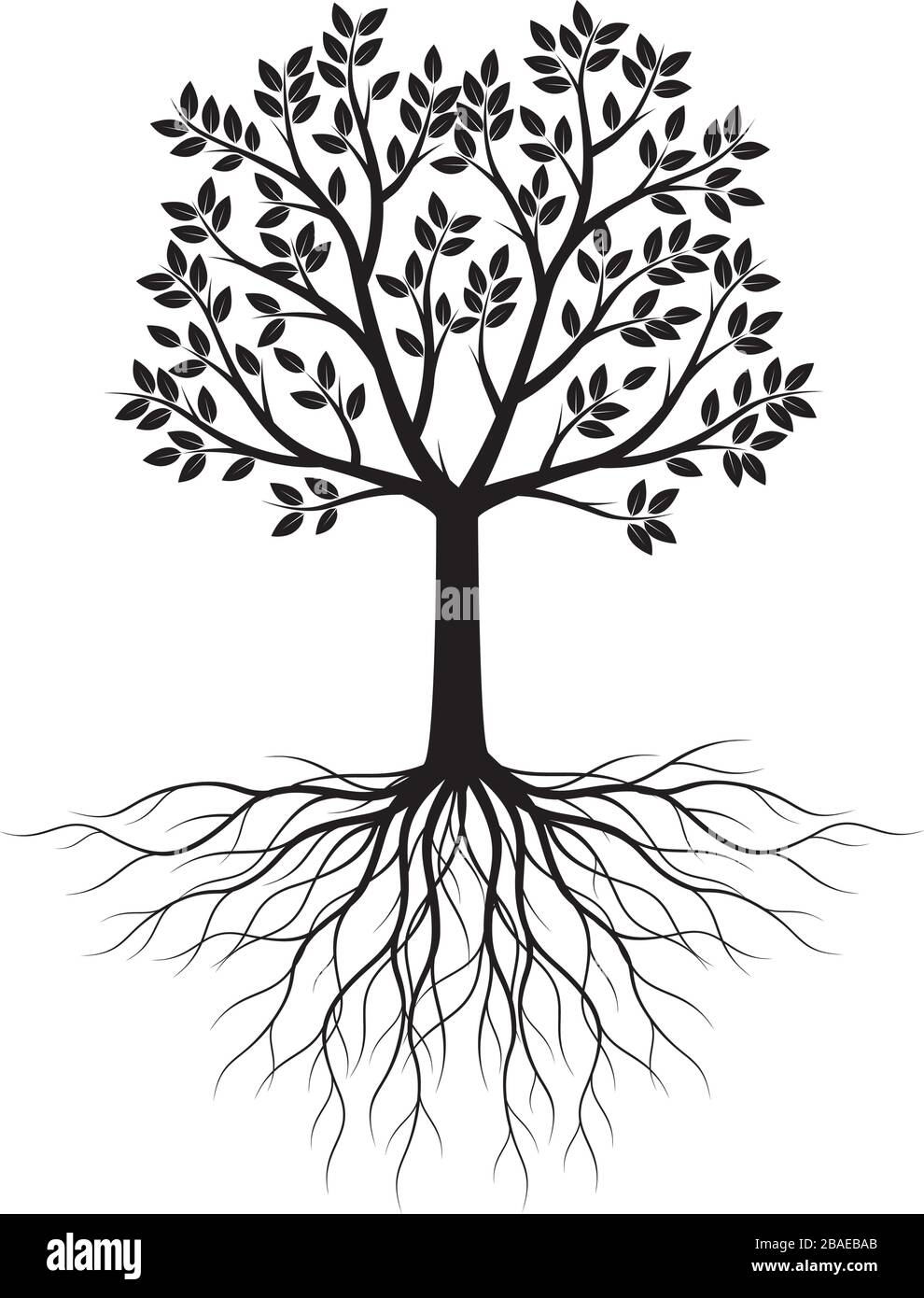 Tree and roots vector black hi-res stock photography and images - Alamy