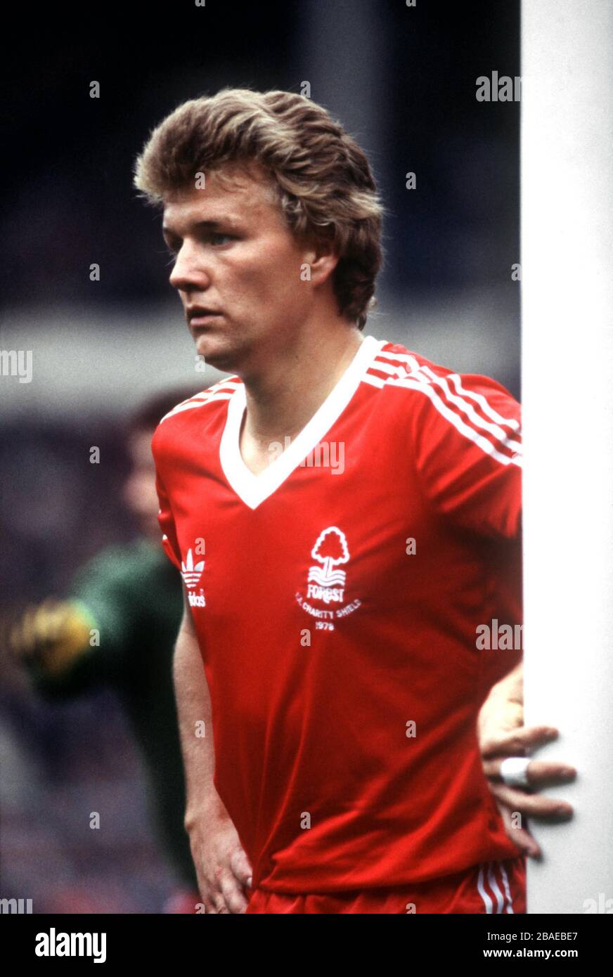 Colin barrett forest hi-res stock photography and images - Alamy