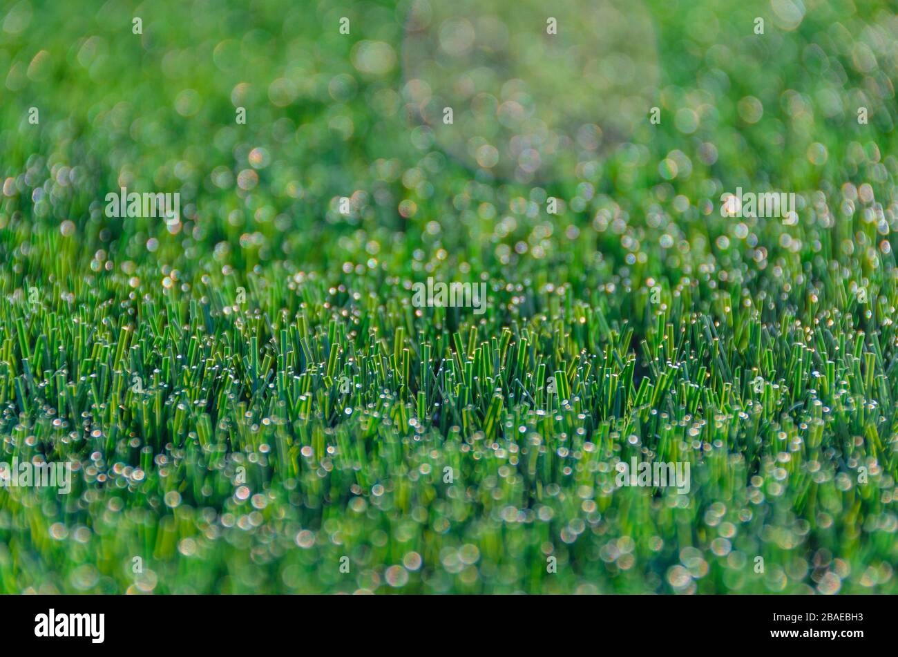 Hierba artificial hi-res stock photography and images - Alamy