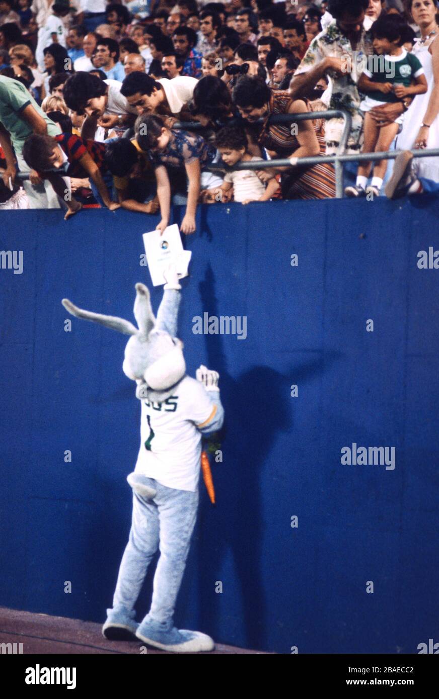 New York Cosmos mascot Bugs Bunny signs autographs for young fans Stock ...