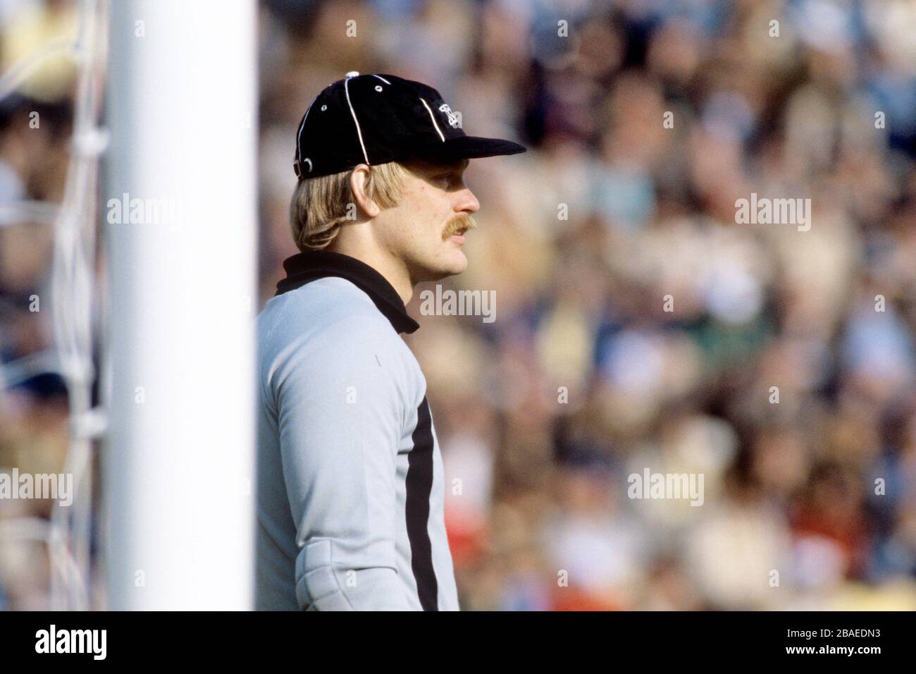 Ronnie Hellstrom, Sweden goalkeeper Stock Photo - Alamy