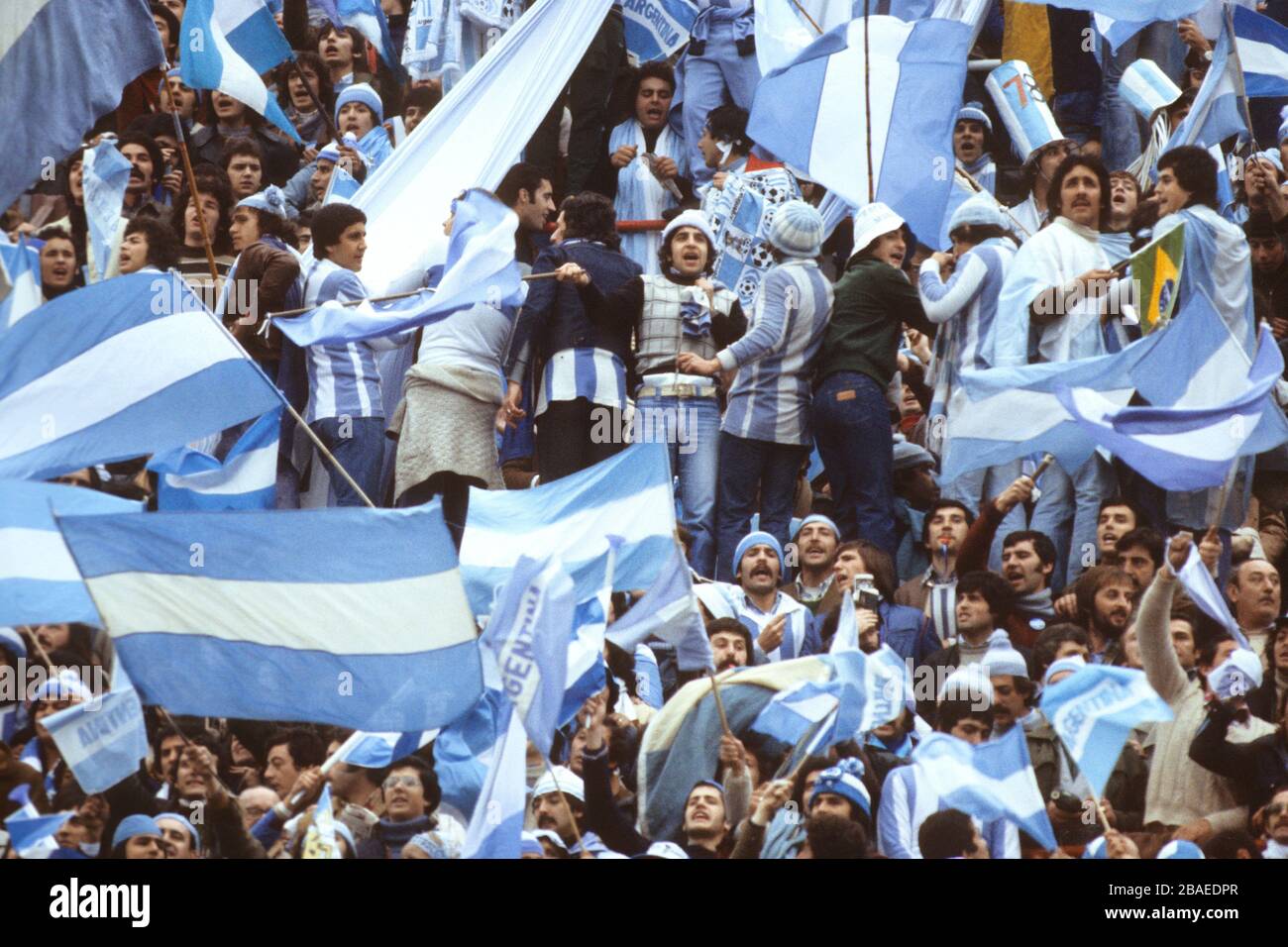Argentina fans waving flags in the crowd during the final Stock Photo ...