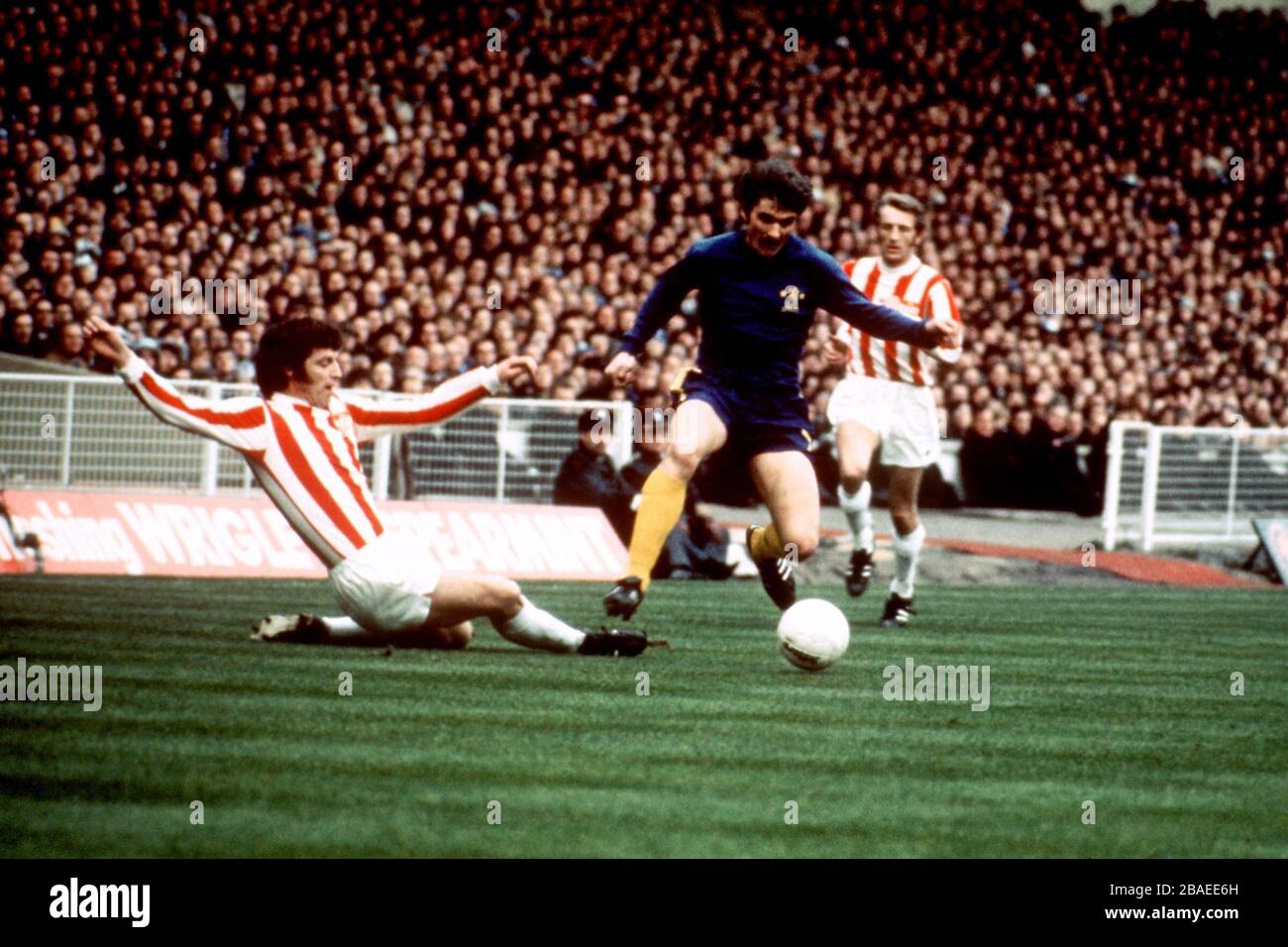 Cooke city hi-res stock photography and images - Alamy