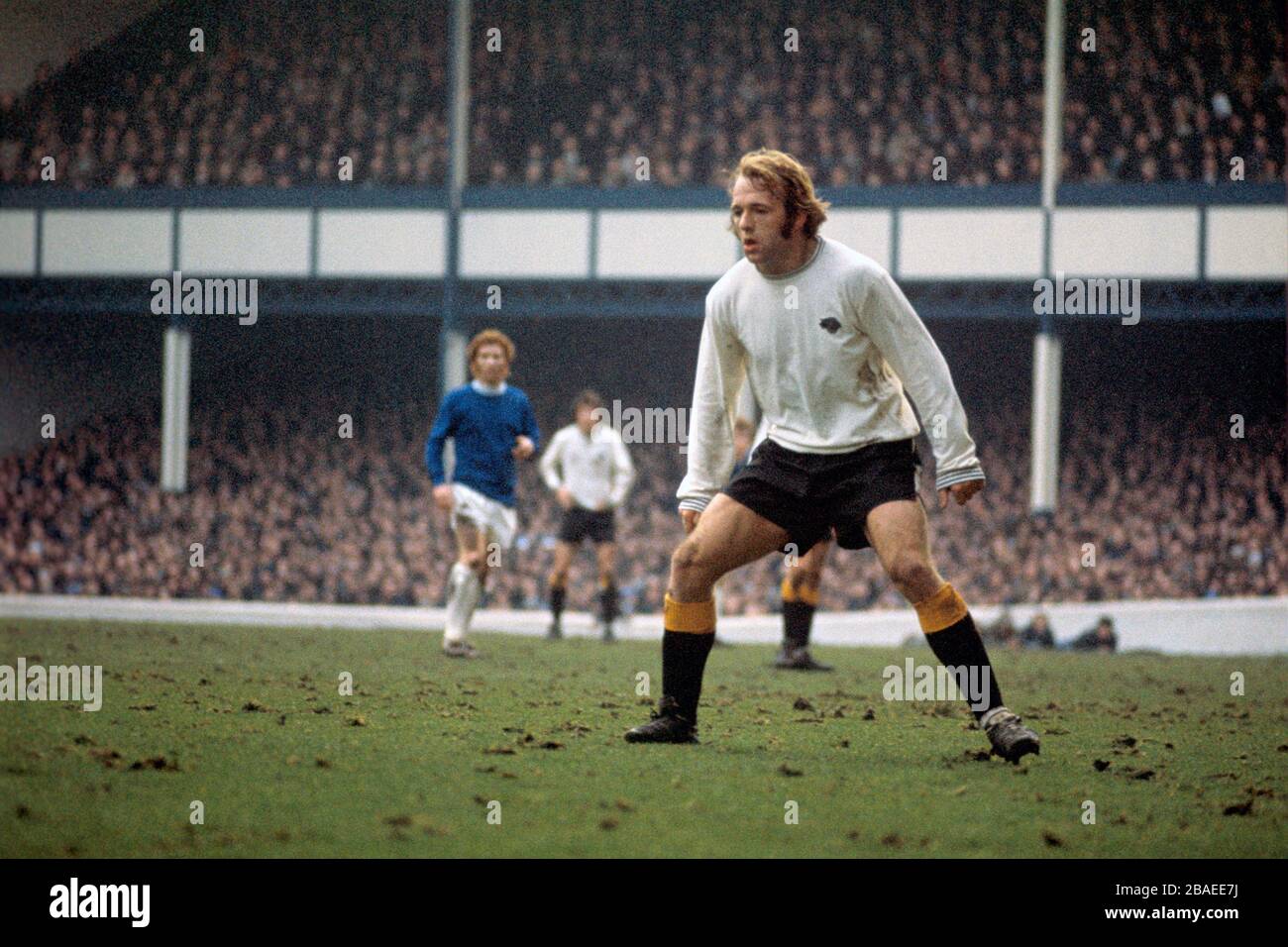 Archie gemmill hi-res stock photography and images - Alamy