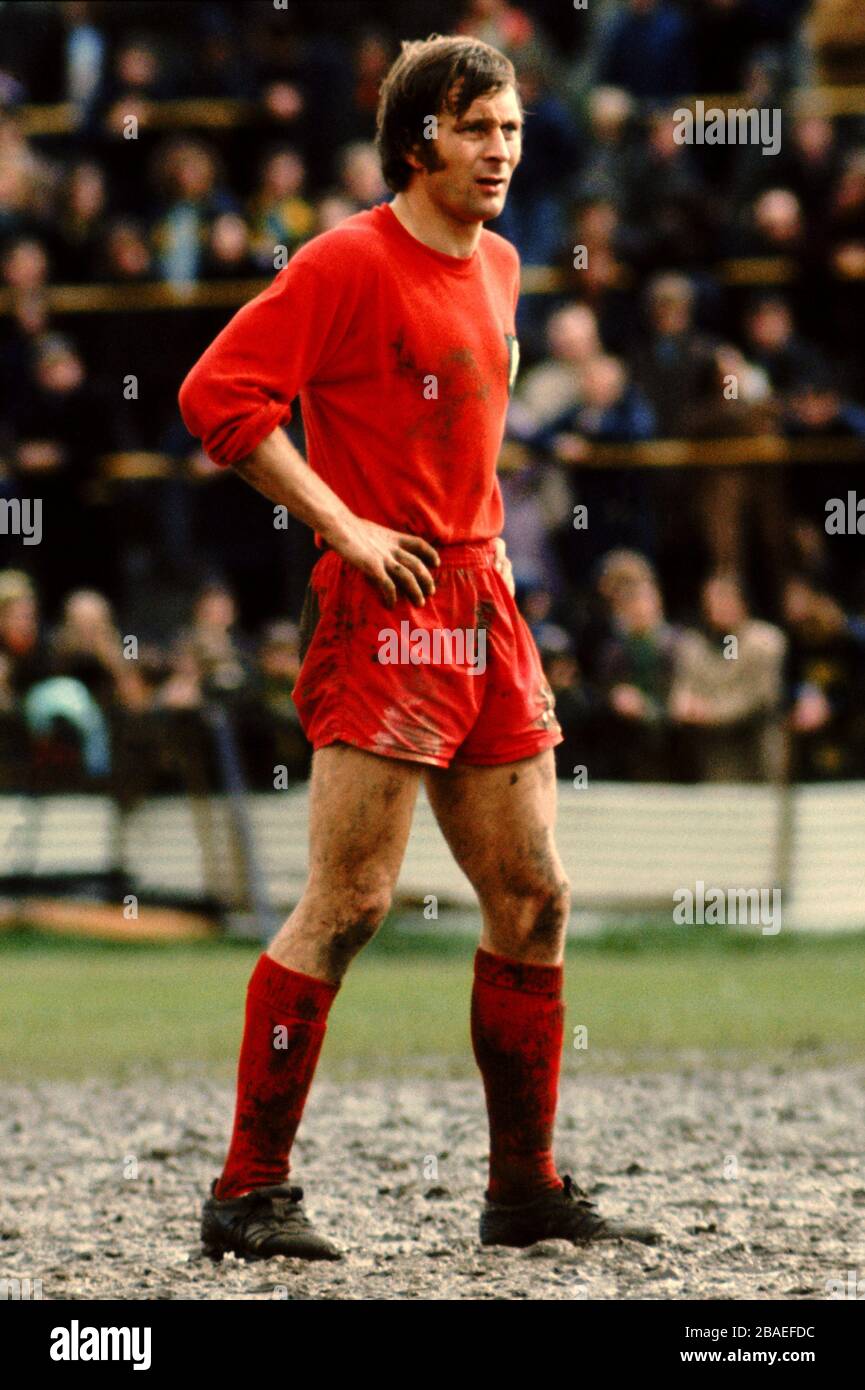 David Stringer, Norwich City Stock Photo - Alamy