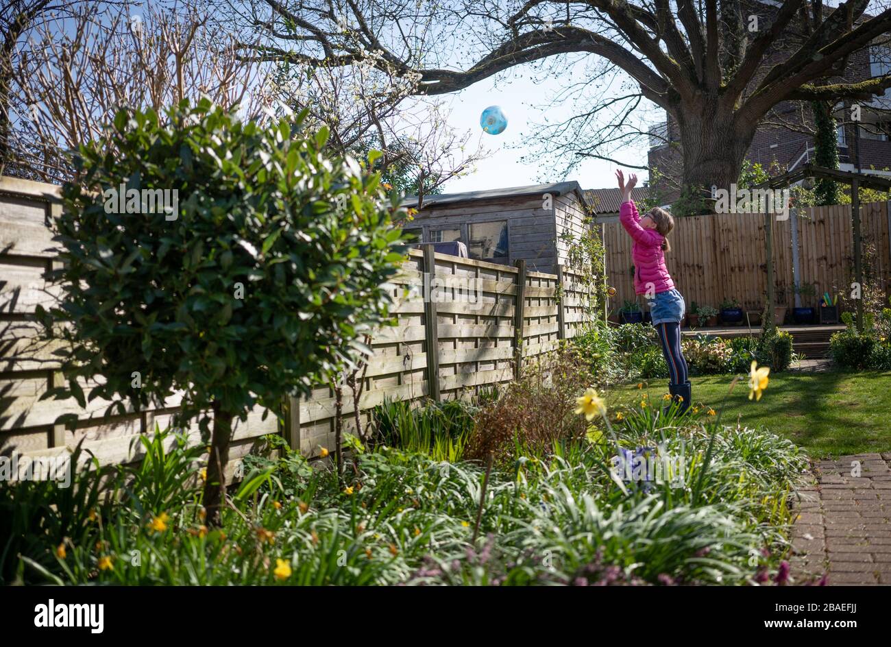 A young girl plays catch with the neighbours over a fence in her garden ...
