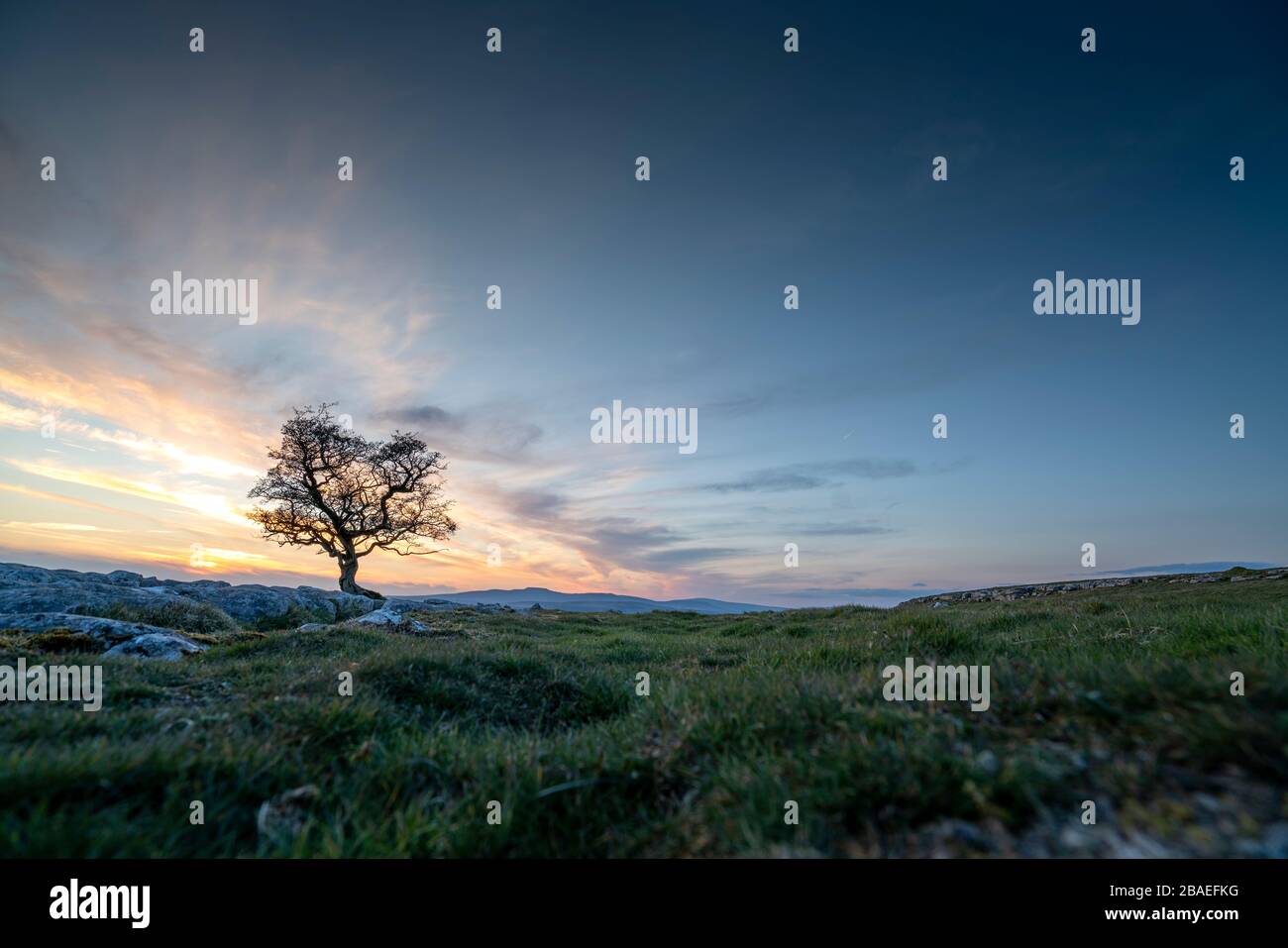 Scene scenery rock limestone tree hi-res stock photography and images ...