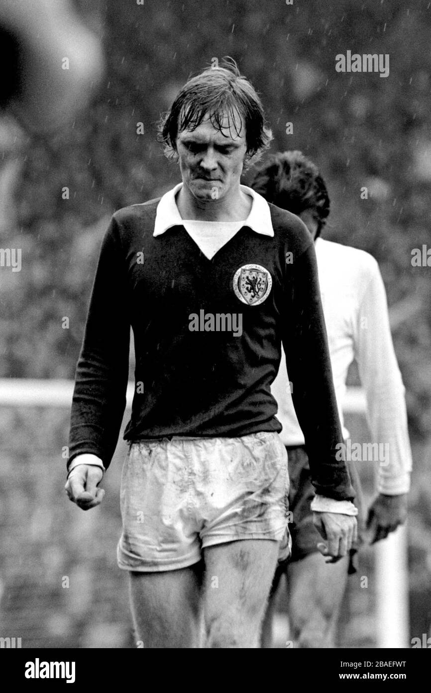 Scotland's David Hay Stock Photo - Alamy