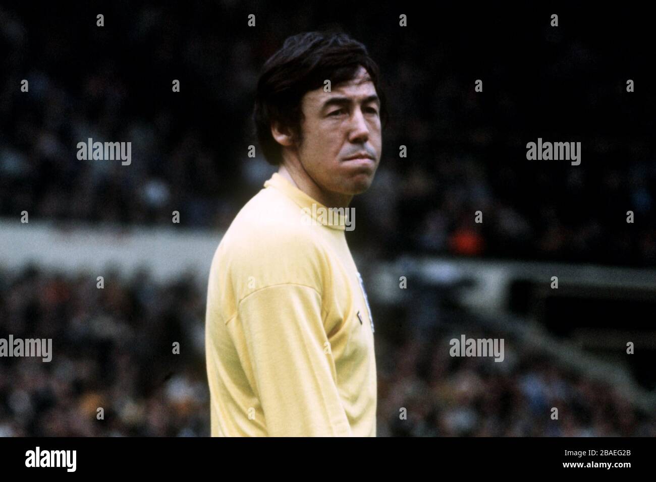 Gordon Banks, England goalkeeper Stock Photo - Alamy