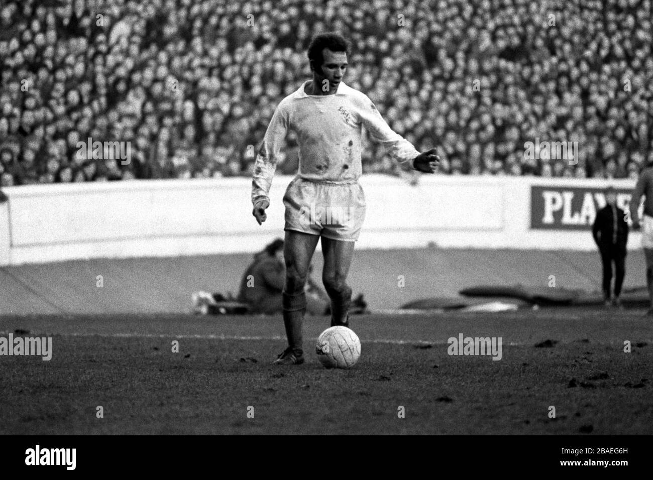 Paul reaney hi-res stock photography and images - Alamy