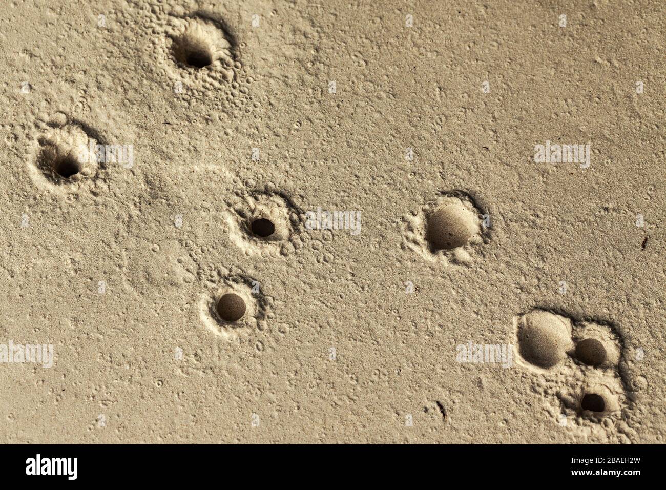 Holes in the sand hi-res stock photography and images - Alamy