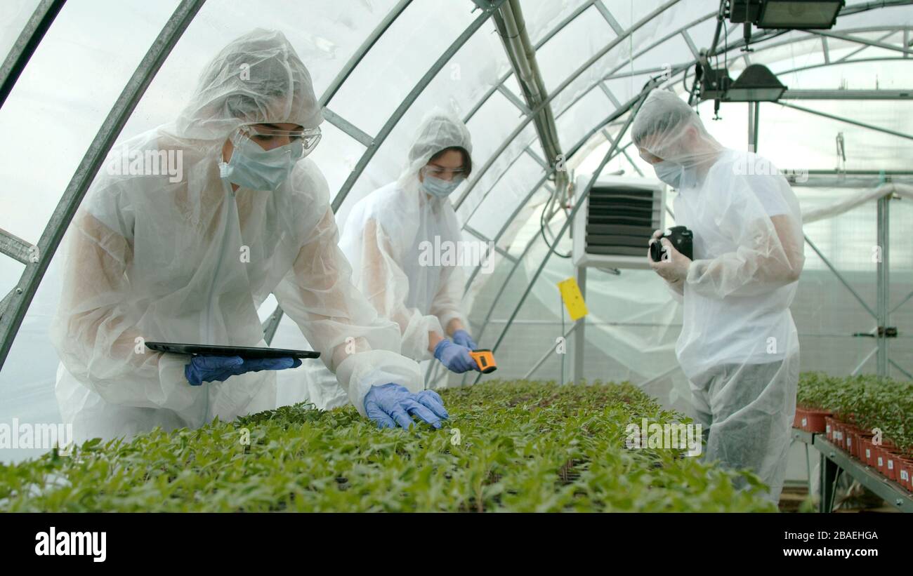 Young farmers checking plants in new greenhouse Stock Photo - Alamy