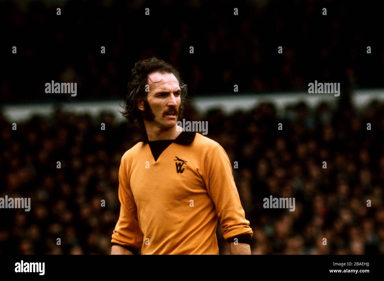 Derek dougan hi-res stock photography and images - Alamy