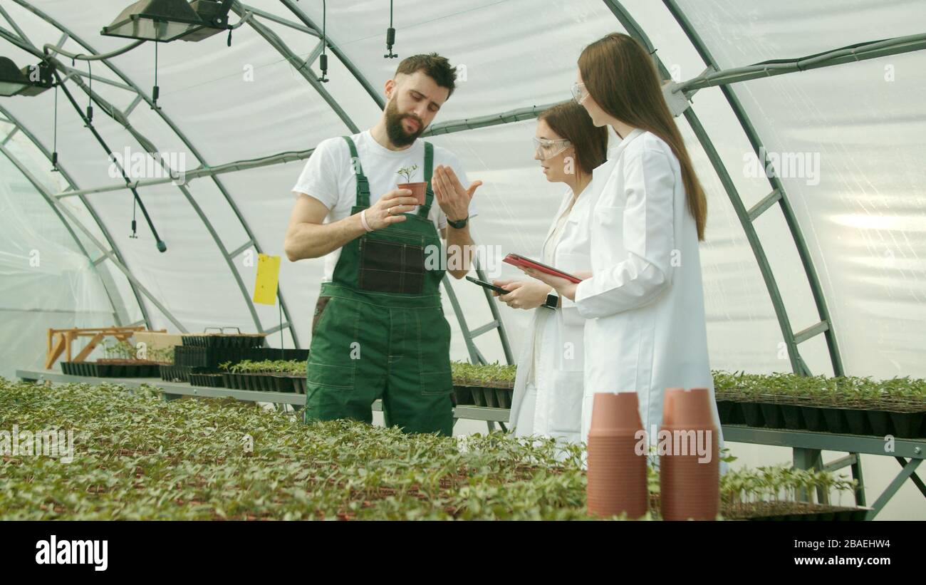 Farmer showing growing crops to young scientists Stock Photo - Alamy