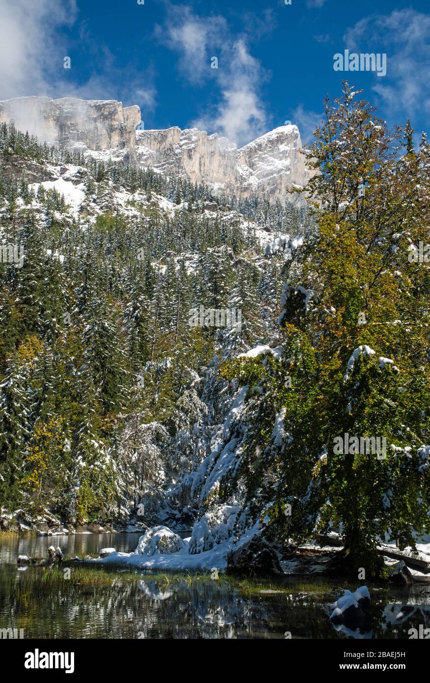 Lac vert france hi-res stock photography and images - Alamy