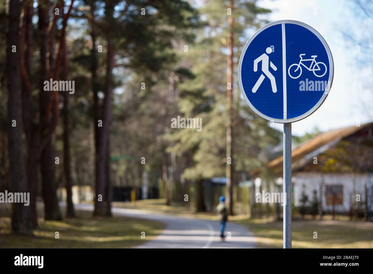 Bicycle and pedestrian shared route road sign over out of focus ...