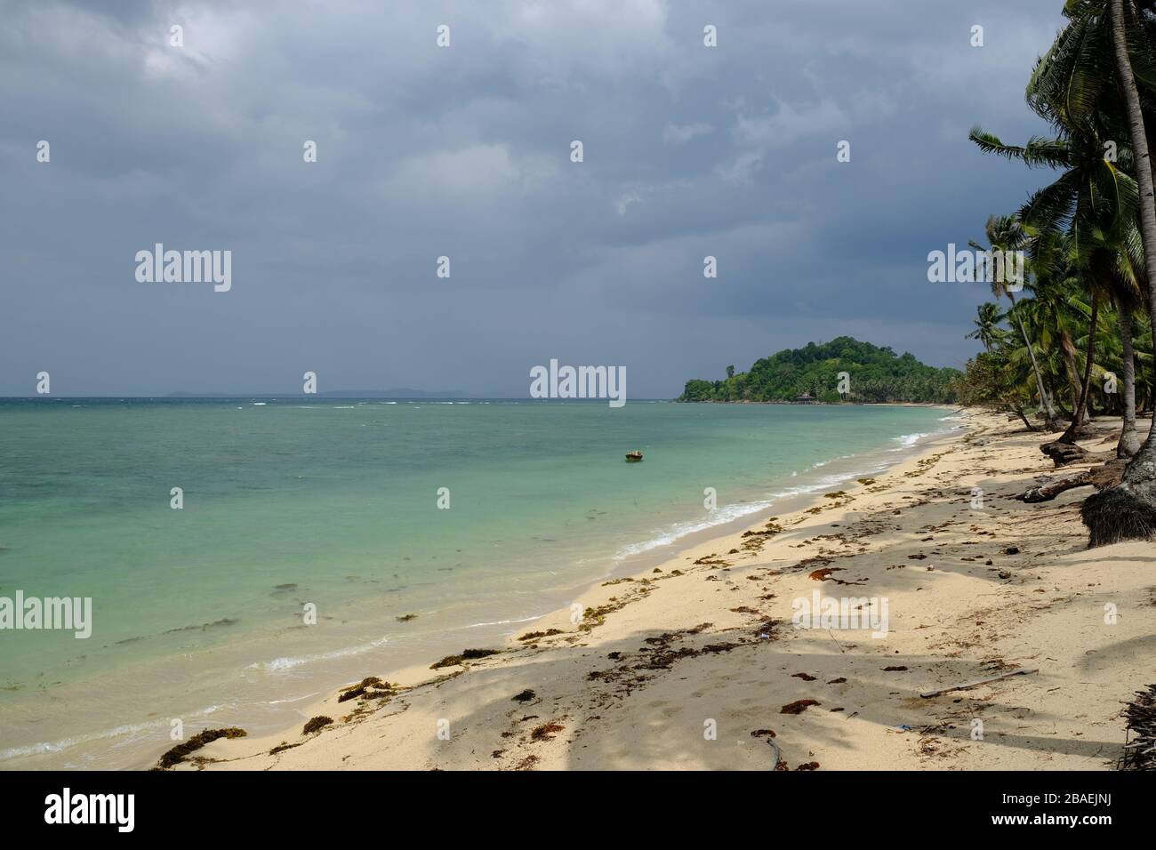 Benan Island Indonesia - Coastal palm trees Stock Photo - Alamy