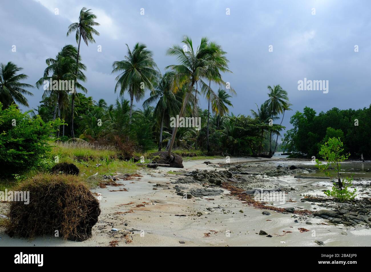 Benan Island Indonesia - Coastal Scenery With Low Tide Stock Photo - Alamy